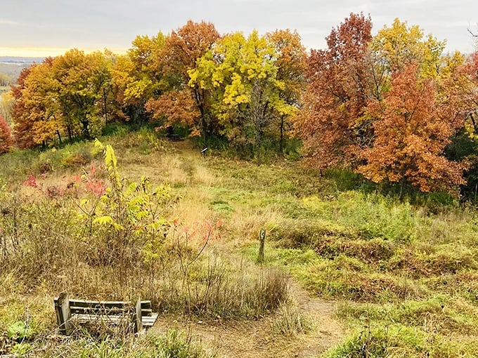 Autumn's fiery palette transforms ordinary fields into extraordinary landscapes &ndash; Mother Nature showing off her seasonal wardrobe change.