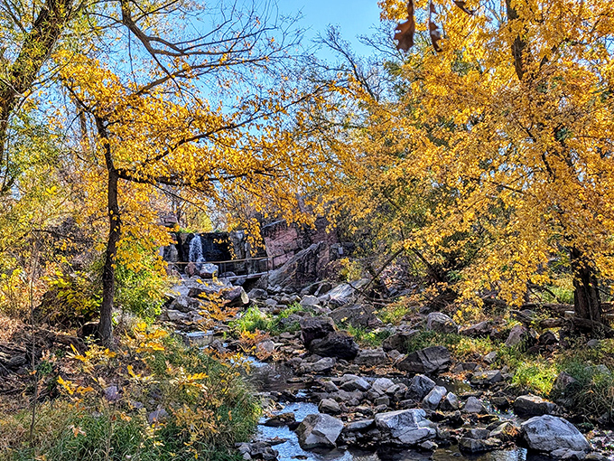 Fall transforms Winnewissa Falls into a golden paradise, where autumn leaves dance their way downstream in nature's annual parade.
