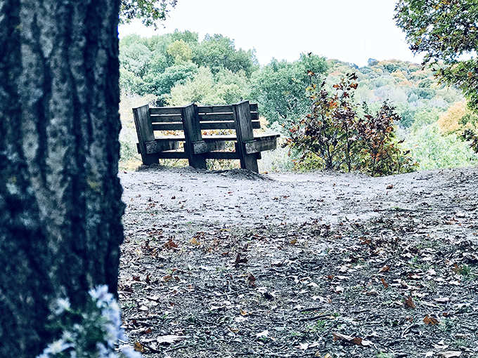 The philosopher's perch &ndash; this simple bench offers front-row seats to nature's greatest show and life's most profound thoughts.