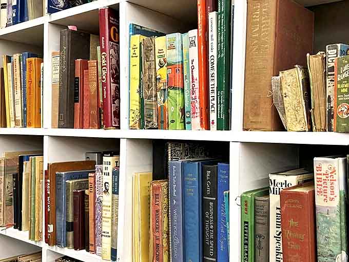 Shelves of well-loved books invite browsers to discover forgotten classics and quirky titles that have survived decades.