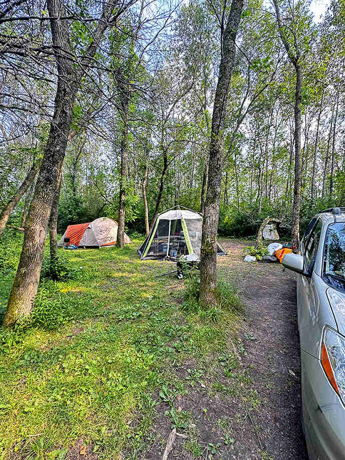 Canvas homes nestled among woodland sentinels create the perfect balance between wilderness immersion and vehicular convenience.