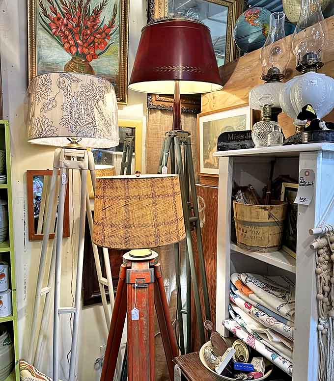 Vintage floor lamps with character stand ready to illuminate new stories, their tripod bases and unique shades showcasing mid-century design brilliance.