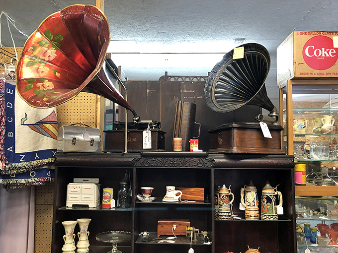 Those magnificent horns once filled parlors with scratchy melodies. These gramophones represent the revolutionary moment when recorded music first entered American homes.