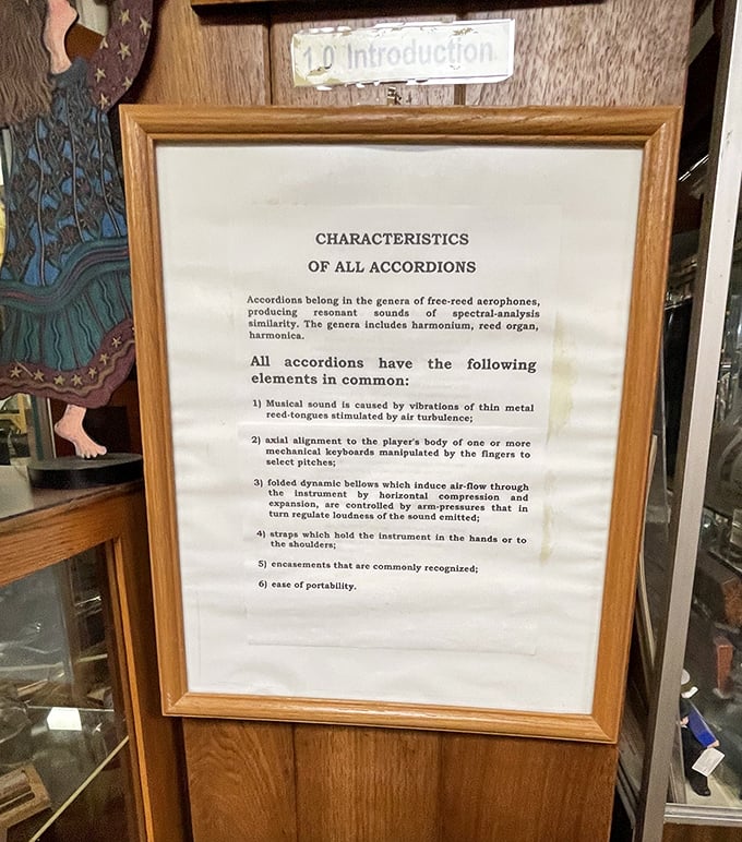 The museum's educational displays break down the science behind the squeeze, explaining what makes these free-reed aerophones so special.