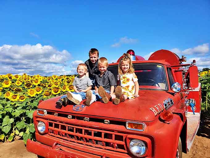 Young adventurers perch atop a vintage fire truck, their excitement matching the brightness of the surrounding sunflower sea.