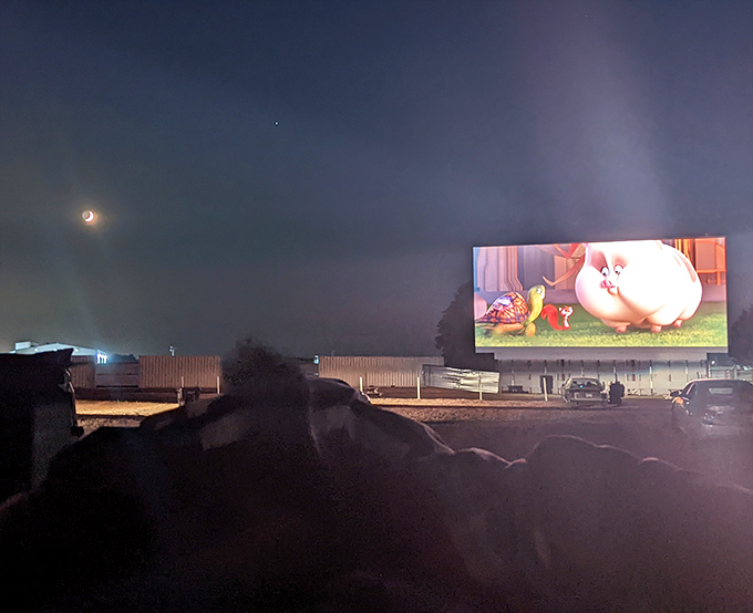 An animated feature plays against the night sky, bringing childhood wonder to viewers of all ages.