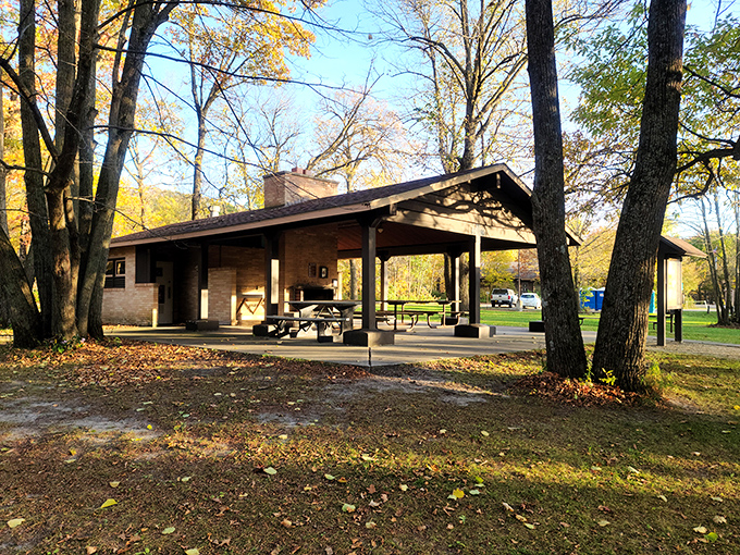 The picnic shelter stands ready for family gatherings, where potato salad somehow tastes better under a canopy of ancient trees.