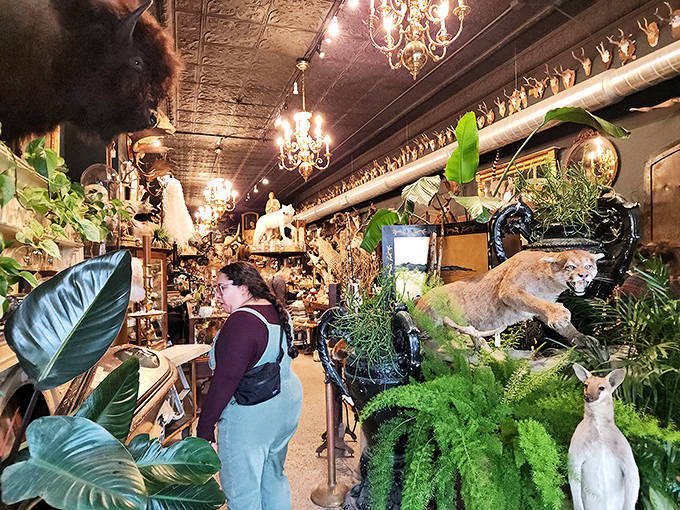Lush greenery brings life among the preserved specimens, creating a jungle-like atmosphere where vintage taxidermy lurks between leafy fronds.