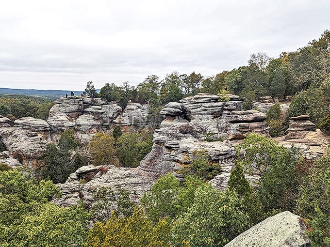 These rock formations have been standing here for millions of years, patiently waiting for you to show up with your camera and questionable selfie skills.