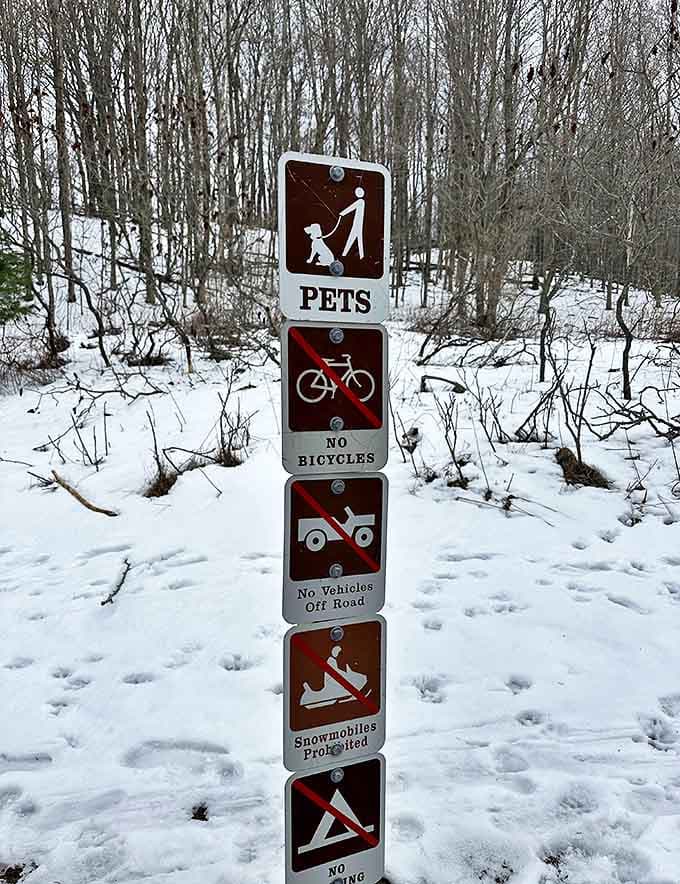 The "no fun allowed" sign collection, keeping visitors from turning this natural wonder into a motocross track or impromptu camping disaster zone.