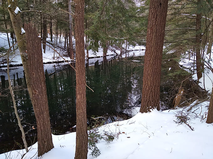 Winter blankets the preserve in snow, creating a peaceful landscape that proves cold weather has its own special kind of beauty.