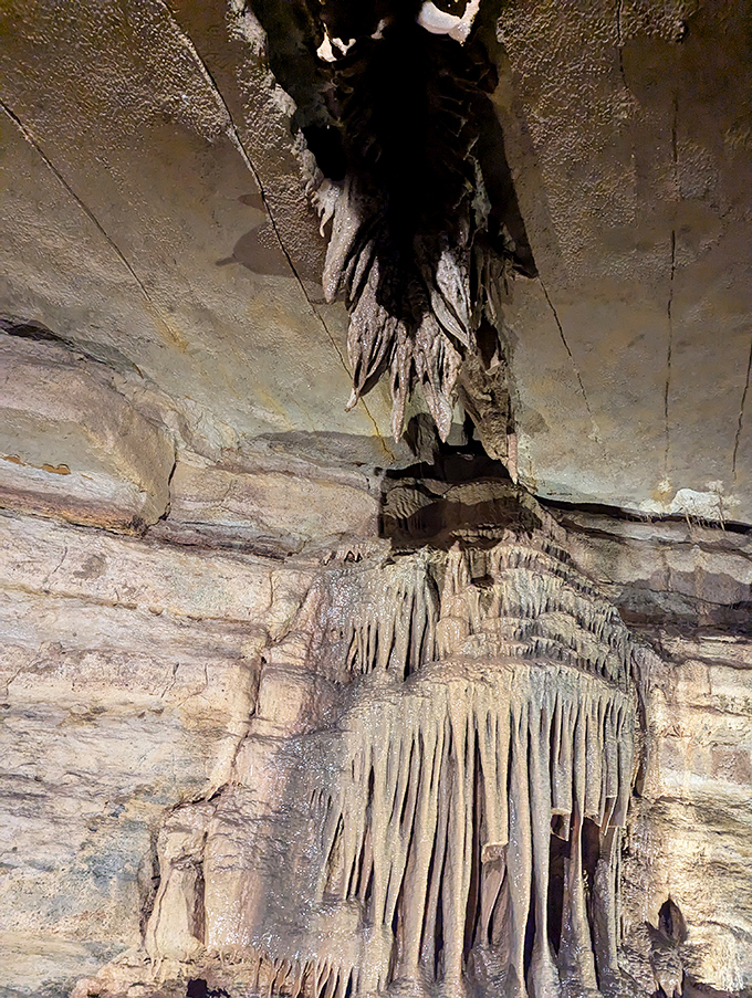 Delicate stalactites hang like nature's chandeliers, each one a masterpiece of mineral deposits accumulated drop by patient drop.