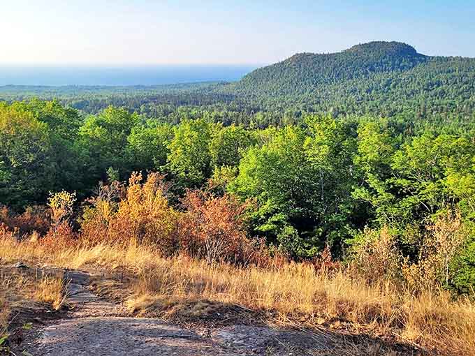 Towering against an impossibly blue Minnesota sky, this wooden sentinel stands watch over the landscape like a guardian from ancient Nordic tales.