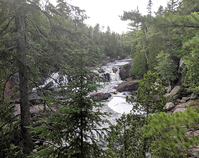 The forest frames the falls like a living gallery, where every season brings a new exhibition of colors, sounds, and textures.