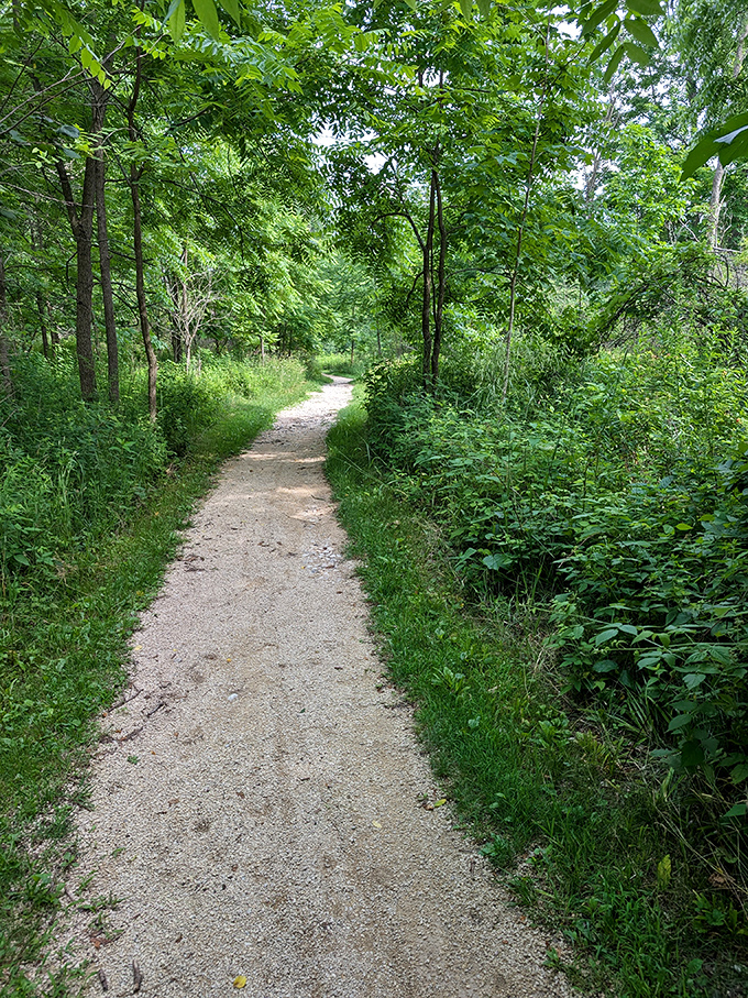 Wooded trails at Lion's Den Gorge Nature Preserve provide a refreshing escape into nature just minutes from downtown.