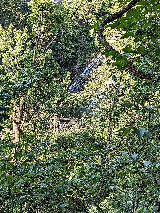 Through the dense foliage, the waterfall plays peek-a-boo, rewarding hikers who venture deeper into the reservation.