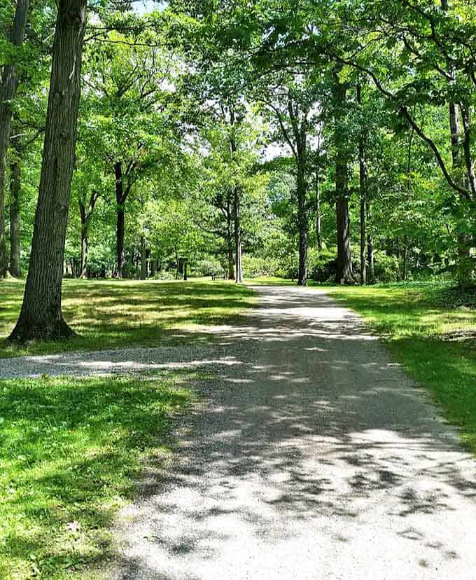This unassuming path whispers promises of discovery, leading visitors deeper into the arboretum's leafy embrace with each step.