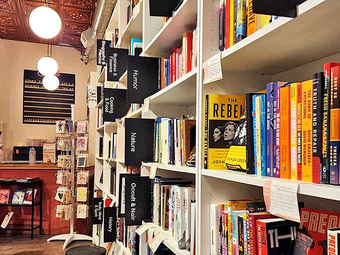 Thoughtfully organized shelves with clear category markers transform browsing from overwhelming chore to delightful literary exploration.