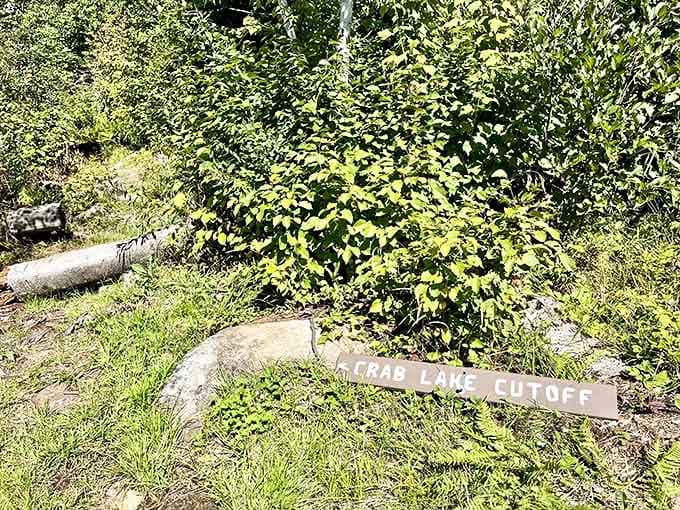 Crab Lake Cutoff &ndash; even the trail signs have that charming Midwestern directness, no pretension needed in paradise.