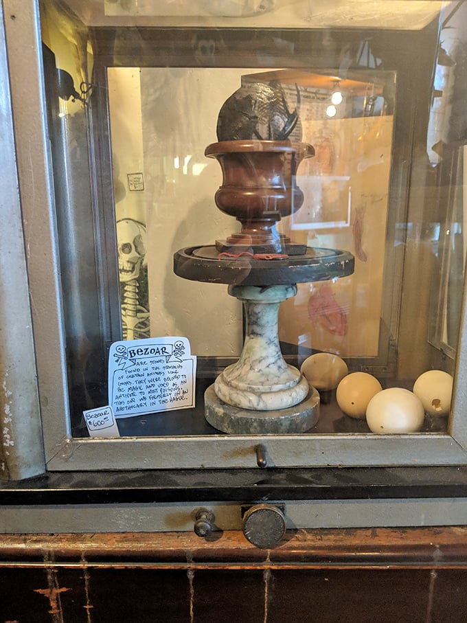 Bezoar: This mysterious stomach stone once believed to cure poison sits like a magical relic &ndash; Harry Potter fans will recognize nature's bizarre defense mechanism.