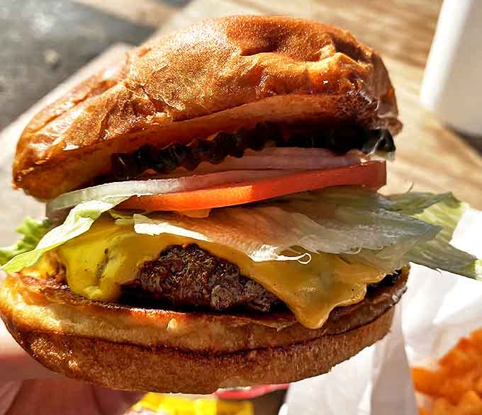 The Albuquerque Burger brings southwestern heat that builds rather than burns, letting you taste every flavor in perfect harmony.