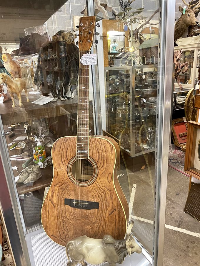Alvarez Guitar: This wooden beauty waits silently for new fingers to strum its strings, the patina of its wood grain telling stories of songs once played.