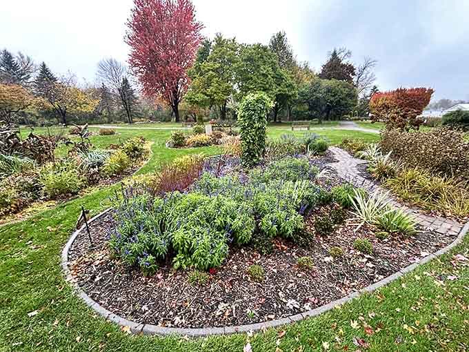 Anderson Gardens showcases nature's artistry through thoughtfully designed beds where perennials perform their seasonal dance for appreciative visitors.