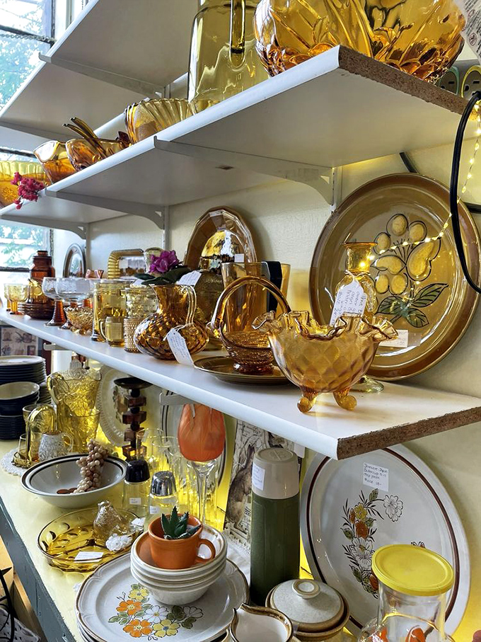 Amber glass collectors, your paradise awaits! This golden collection gleams with vintage charm &ndash; from serving bowls to decorative plates, sunshine captured in glass.