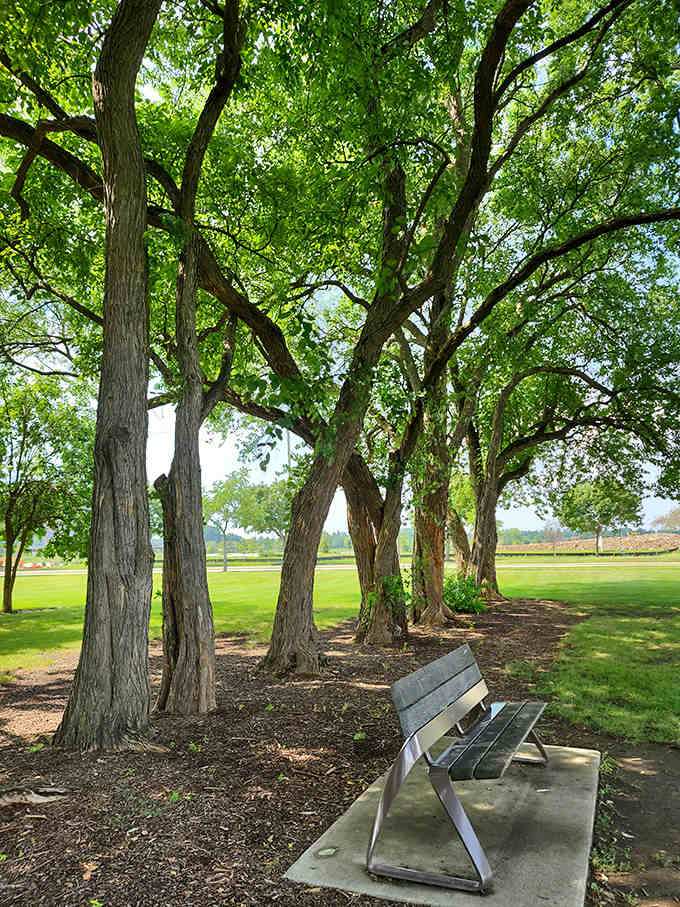 A solitary bench beneath towering trees invites visitors to sit and ponder the curious juxtaposition of concrete corn in a suburban landscape.