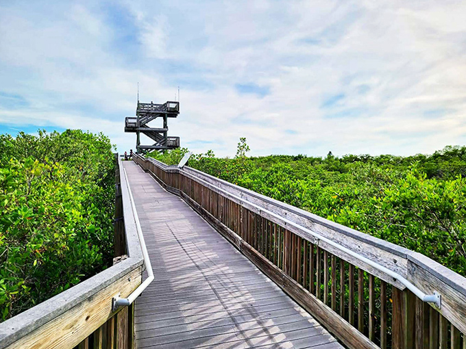 The boardwalk leads adventurers to a multi-level observation tower &ndash; Florida's version of a wilderness skyscraper.