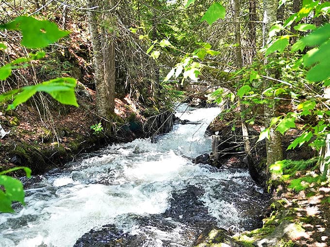 Bridal Falls Creek chatters over smooth stones, creating nature's perfect white noise machine as it makes its way downstream.