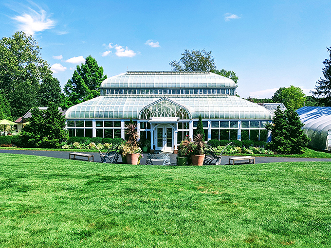 The graceful glass conservatory rises like a crystal retreat surrounded by lush, manicured gardens.