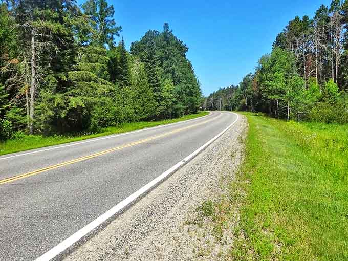 Gentle curves and verdant forests make every mile of this scenic byway feel like driving through a living postcard.
