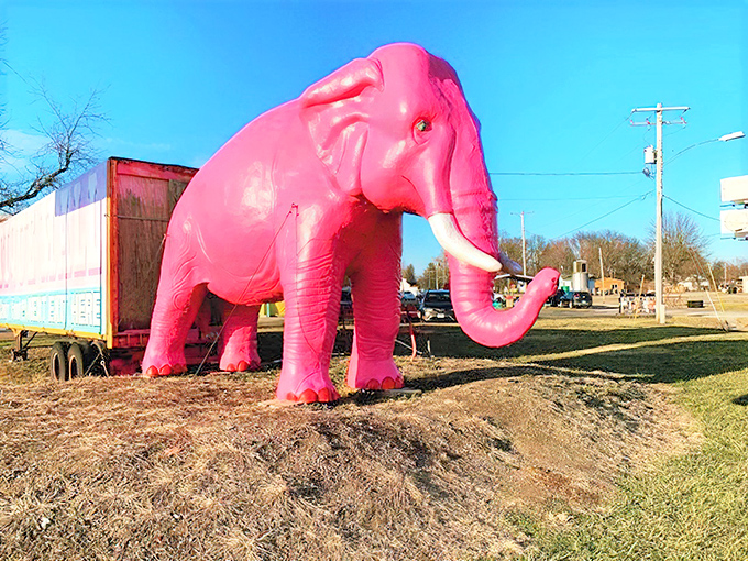 The pink sentinel: This rosy pachyderm stands guard outside, ensuring no traveler passes by without at least considering a detour.