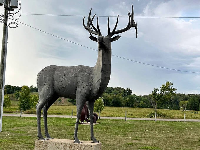 The majestic metal elk stands alert, antlers proudly displayed. Hunters, put down your cameras &ndash; this is the only shooting allowed here.