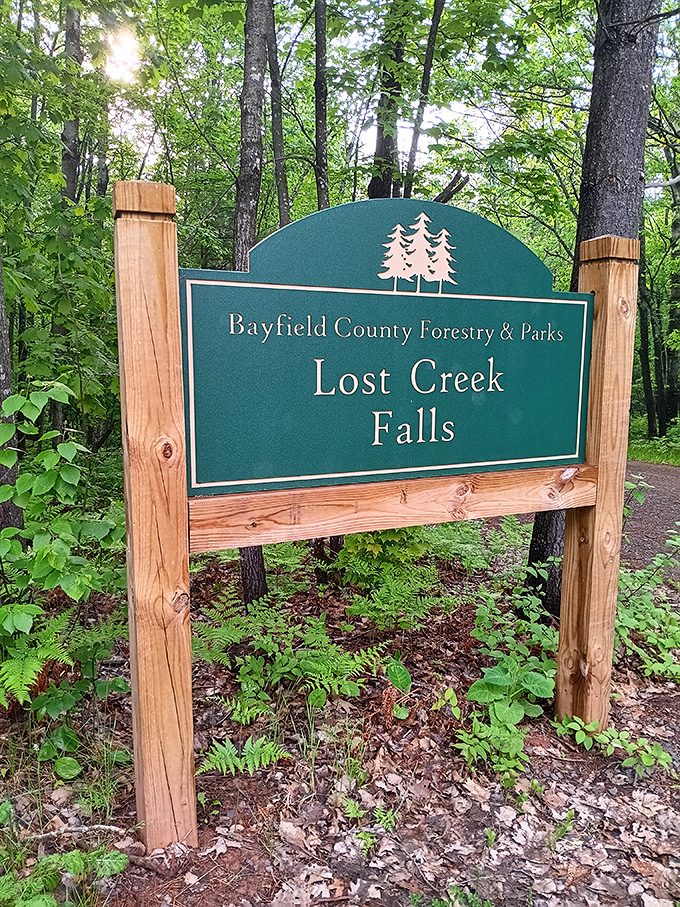 Winter transforms Lost Creek Falls into a frozen fantasy, where ice sculptures and flowing water create an ever-changing masterpiece.
