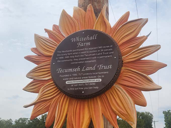 The sign says it all &ndash; these beauties are meant to be admired, not picked. Look with your eyes, not with your hands!