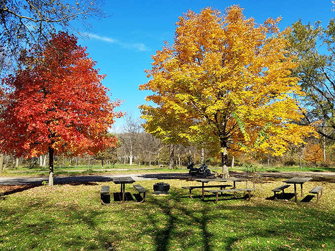 Flandrau State Park explodes with color during autumn, when maple and oak trees create a natural masterpiece worth framing.