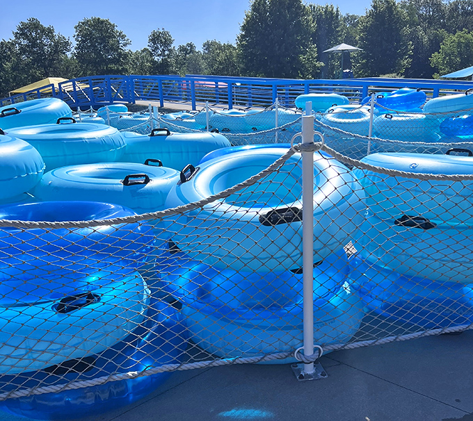 A flotilla of blue donuts awaiting their temporary captains &ndash; each promising a journey of leisurely current-following.