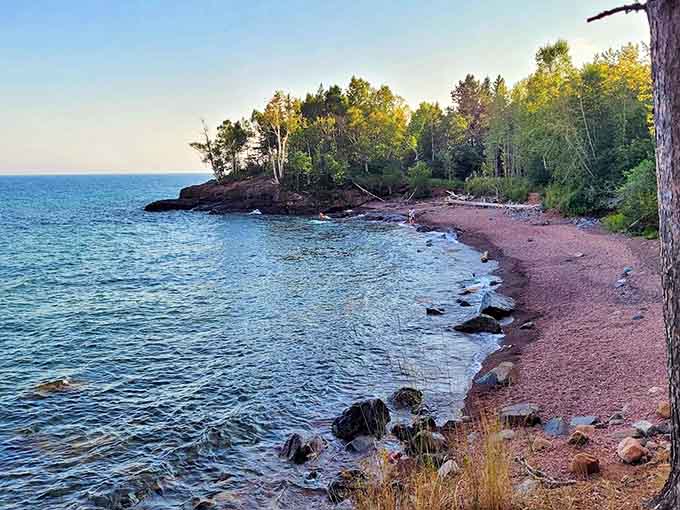 Where forest meets shore: the lush greenery provides a perfect frame for Iona's distinctive pink beach.