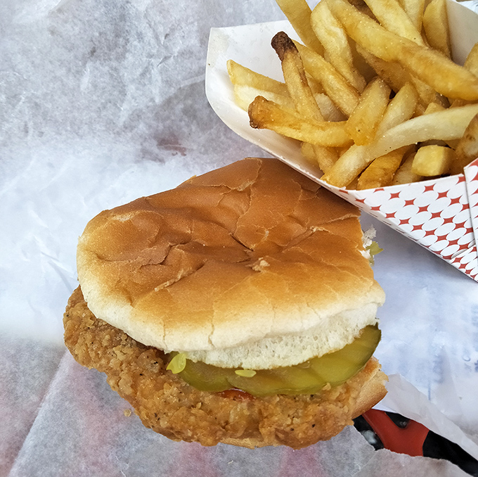 Lou's fried chicken sandwich sits beside golden fries – simple comfort food executed with the confidence that comes from decades of practice.