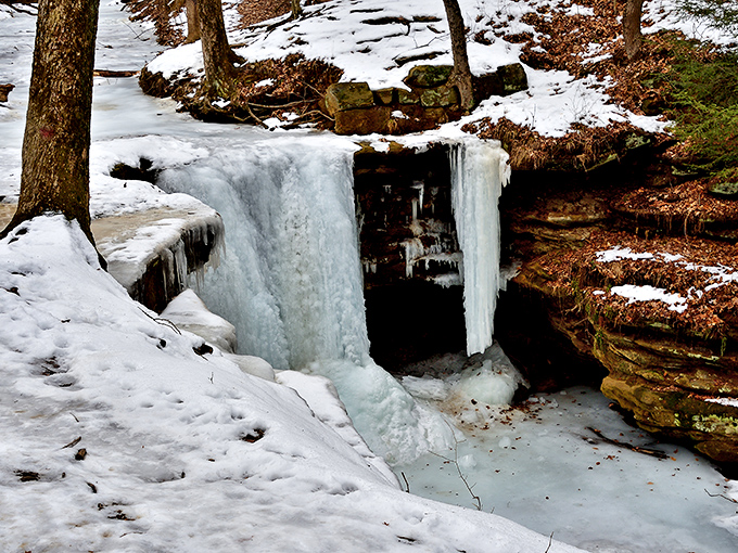 Winter transforms Dundee Falls into a frozen sculpture garden, where water pauses mid-descent in a breathtaking display of natural artistry.