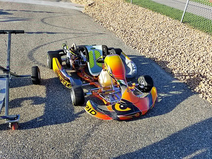 Vibrant colors and sleek design &ndash; these competition karts are engineering marvels disguised as oversized toys.