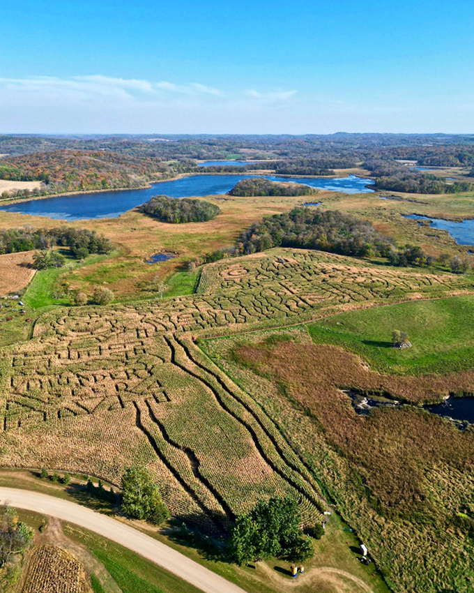 This isn't just a corn maze&mdash;it's an agricultural labyrinth where families get delightfully lost while pretending they know which way is north.