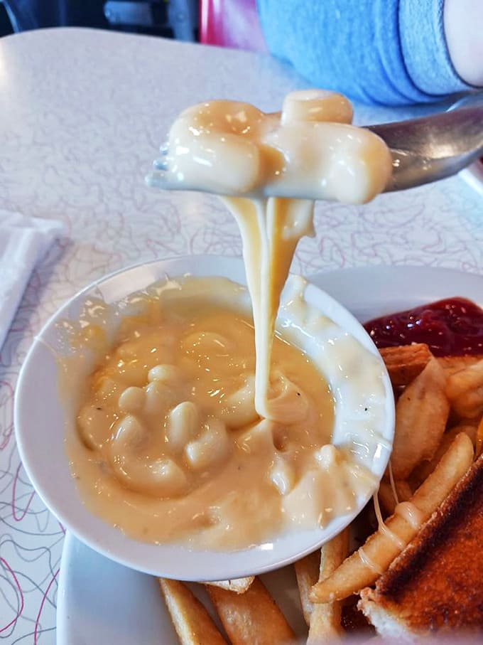 Mac and cheese that makes you question why anyone would eat the boxed version – each spoonful delivers velvety cheese coating perfectly cooked pasta.