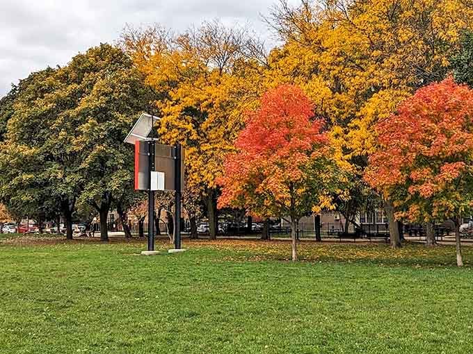 A quiet corner beckons with the promise of peaceful moments, where even flying monkeys wouldn't dare disturb your tranquility.