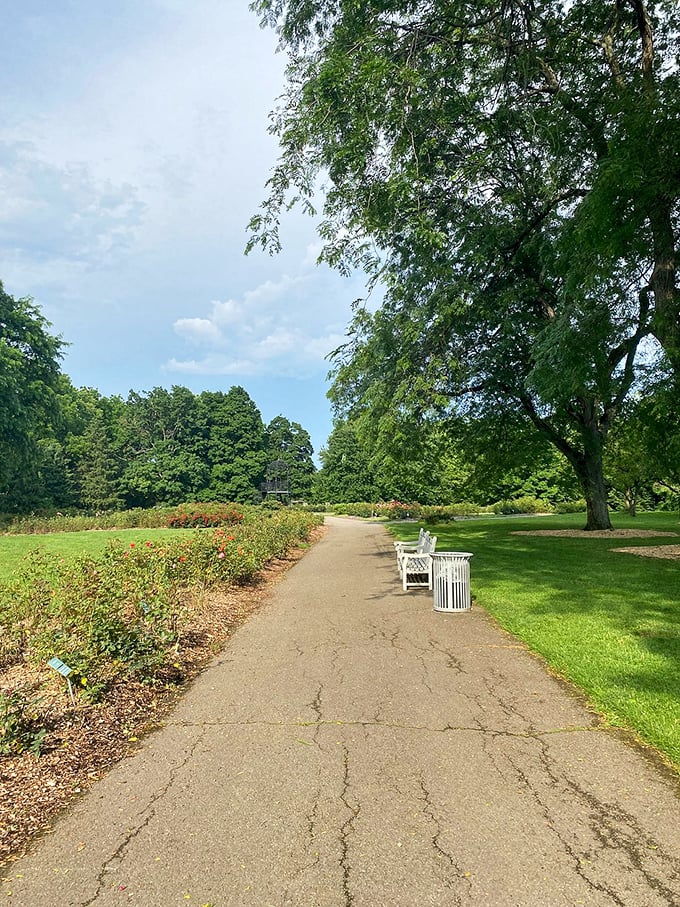 Winding pathways invite exploration and wandering, because the journey through a beautiful garden should never feel rushed or regimented.