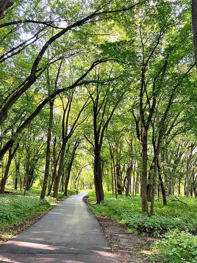 Sunlight filters through a leafy canopy, creating a dappled pathway that practically begs for a leisurely stroll or invigorating jog.