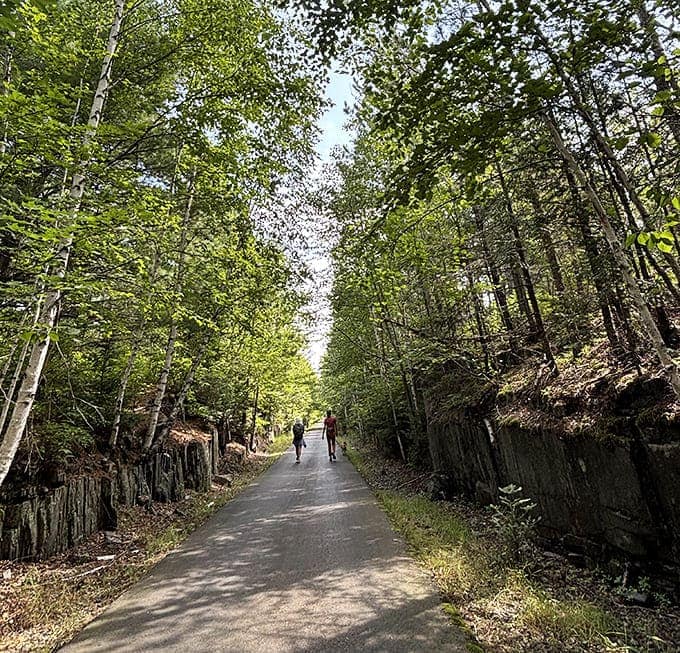 Autumn's paintbrush has touched this trail with crimson and gold, creating a pathway that feels like biking through a watercolor masterpiece.