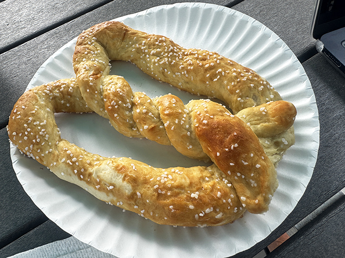 A hand-twisted pretzel on a paper plate &ndash; the perfect balance of chewy interior and salty exterior that puts mall pretzels to shame.